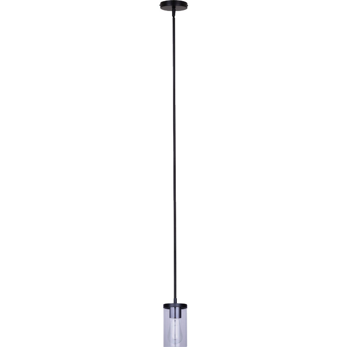 Canarm Britton Black Pendant Light Fixture, Clear Glass | True Value ...