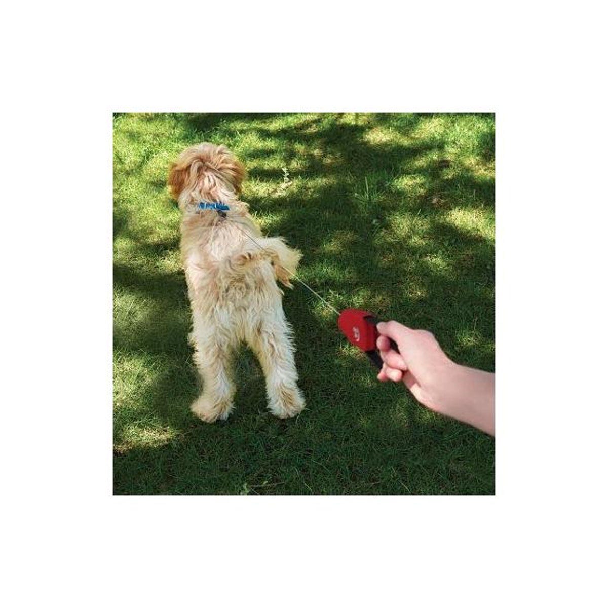 Nite Ize RadDog Small Dogs Retractable Pocket Leash | Do it Best