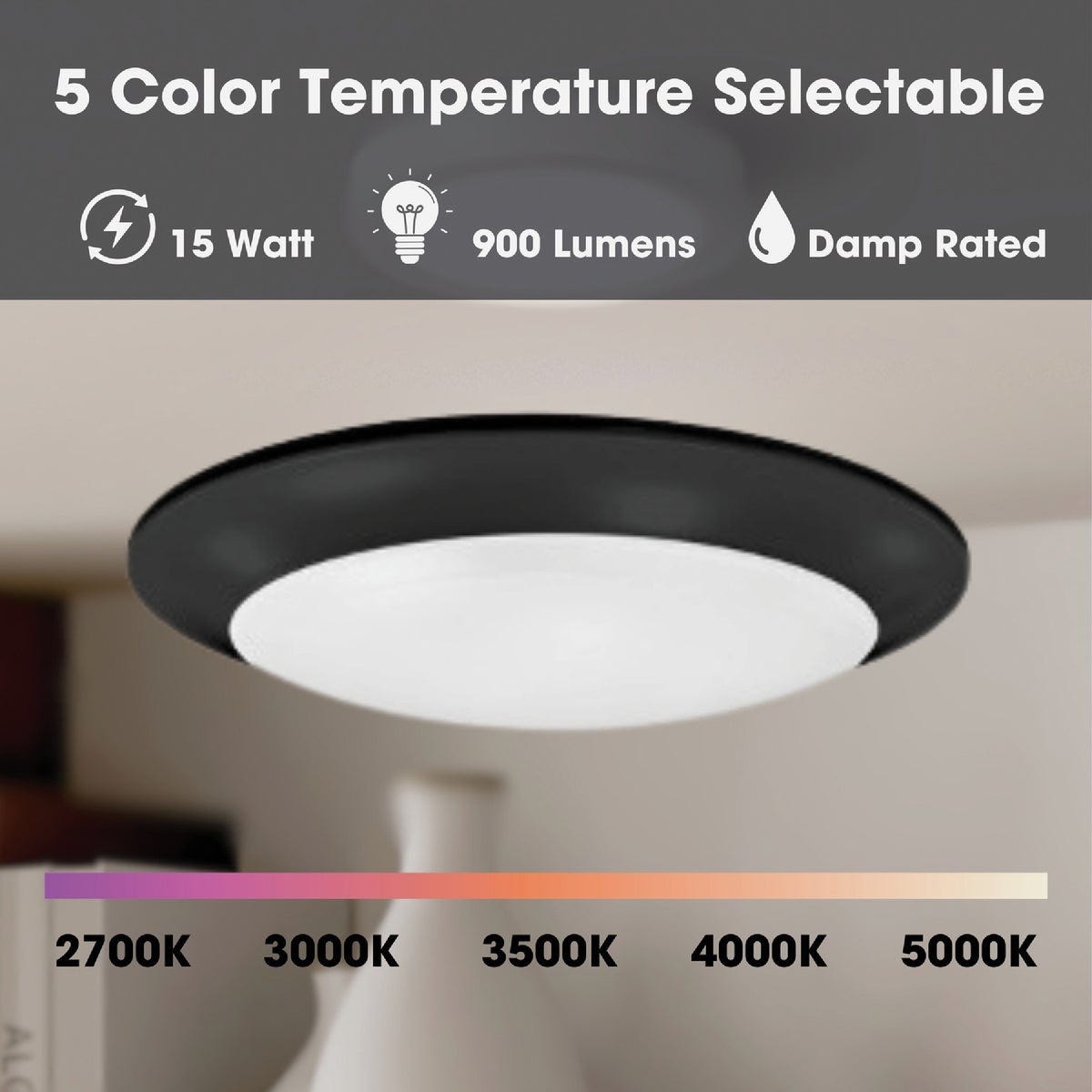 Canarm 7 In. Black LED Disc Light Fixture | True Value Hardware
