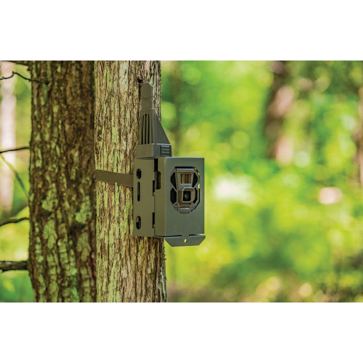 Tactacam Reveal Security Box | True Value Hardware