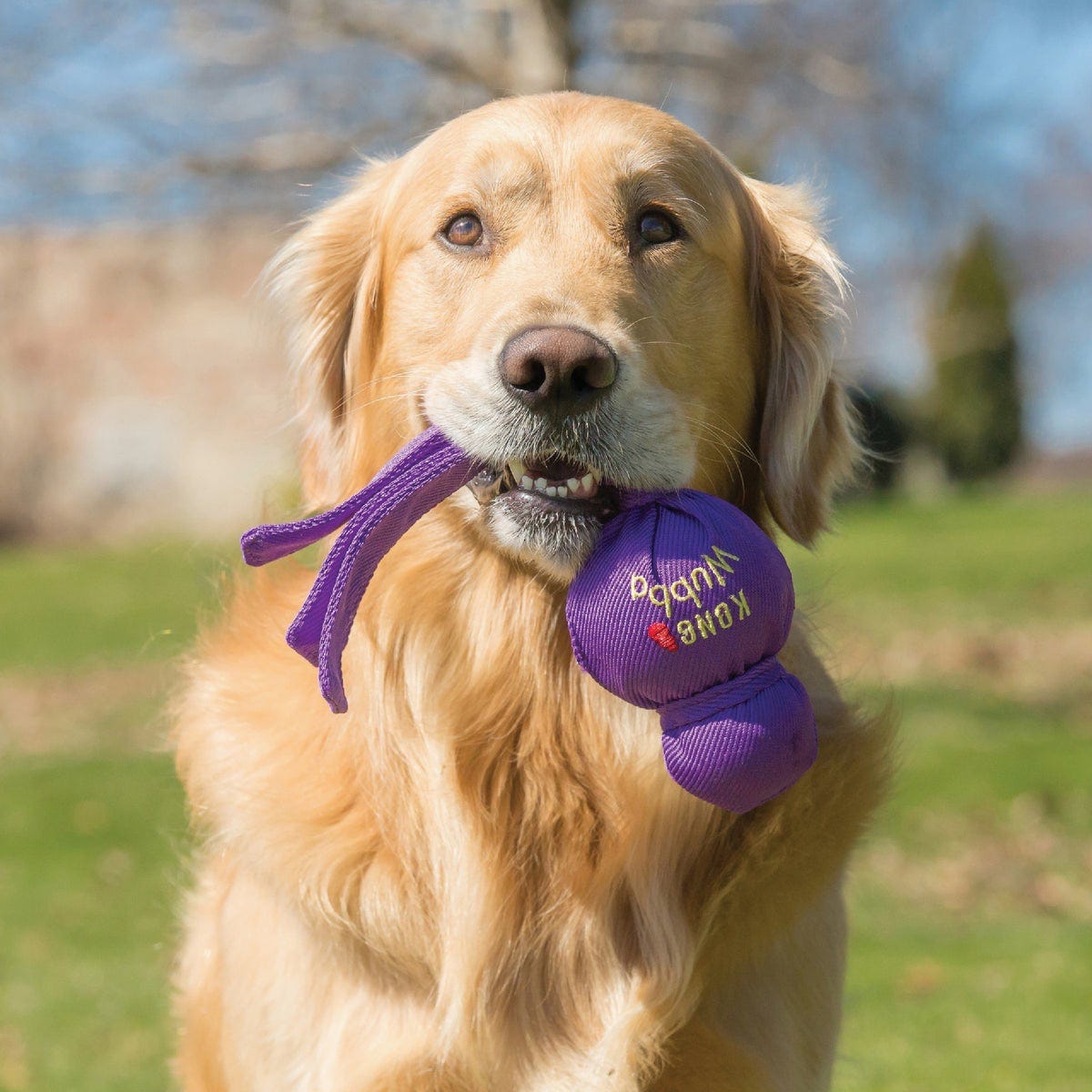 Kong Wubba Tug Large Squeaky Dog Toy | True Value Hardware