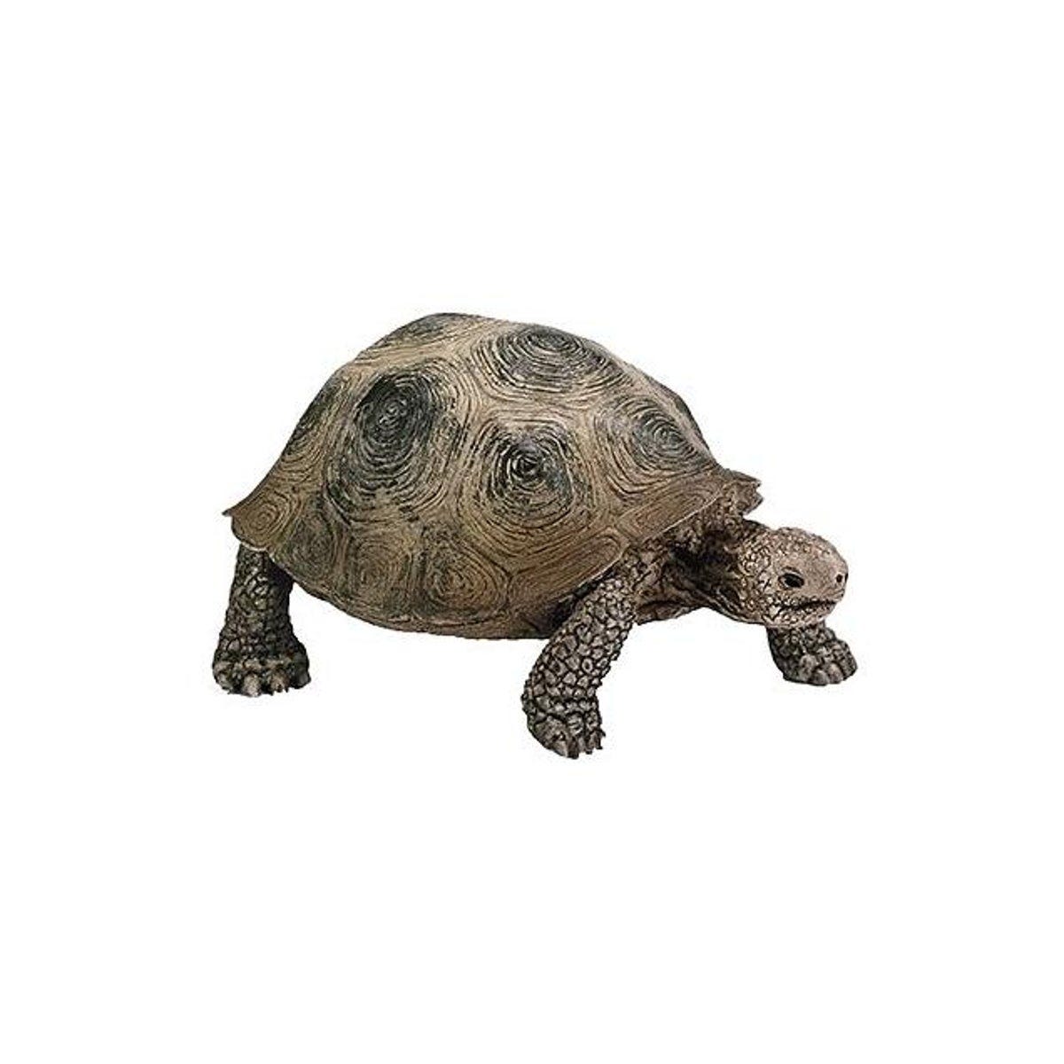 Schleich Turtle Toy Animal Figure | True Value Hardware