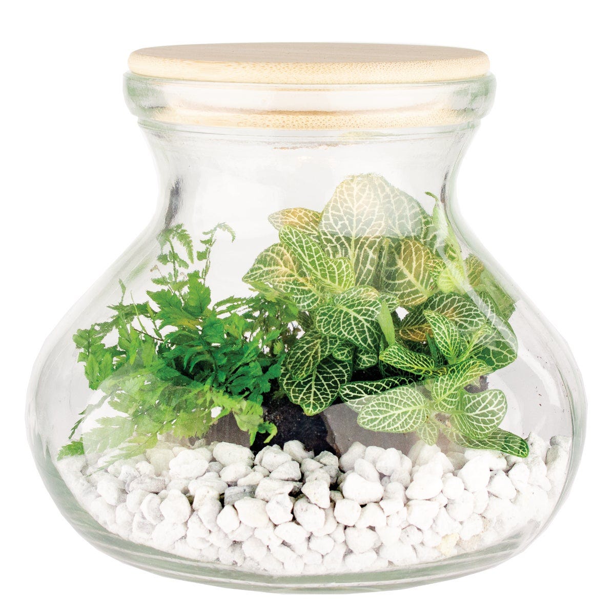 Syndicate Home and Garden 6 In. Vase with LED Light | True Value Hardware