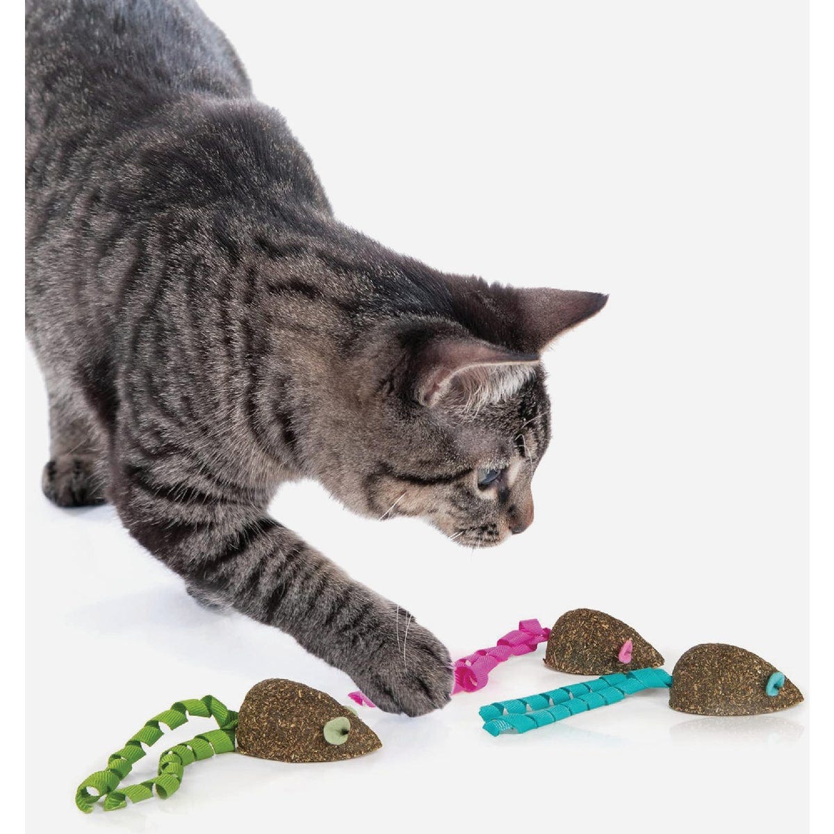 SmartyKat Magic Mice Compressed Catnip and Ribbon Cat Toy (3-Pack ...