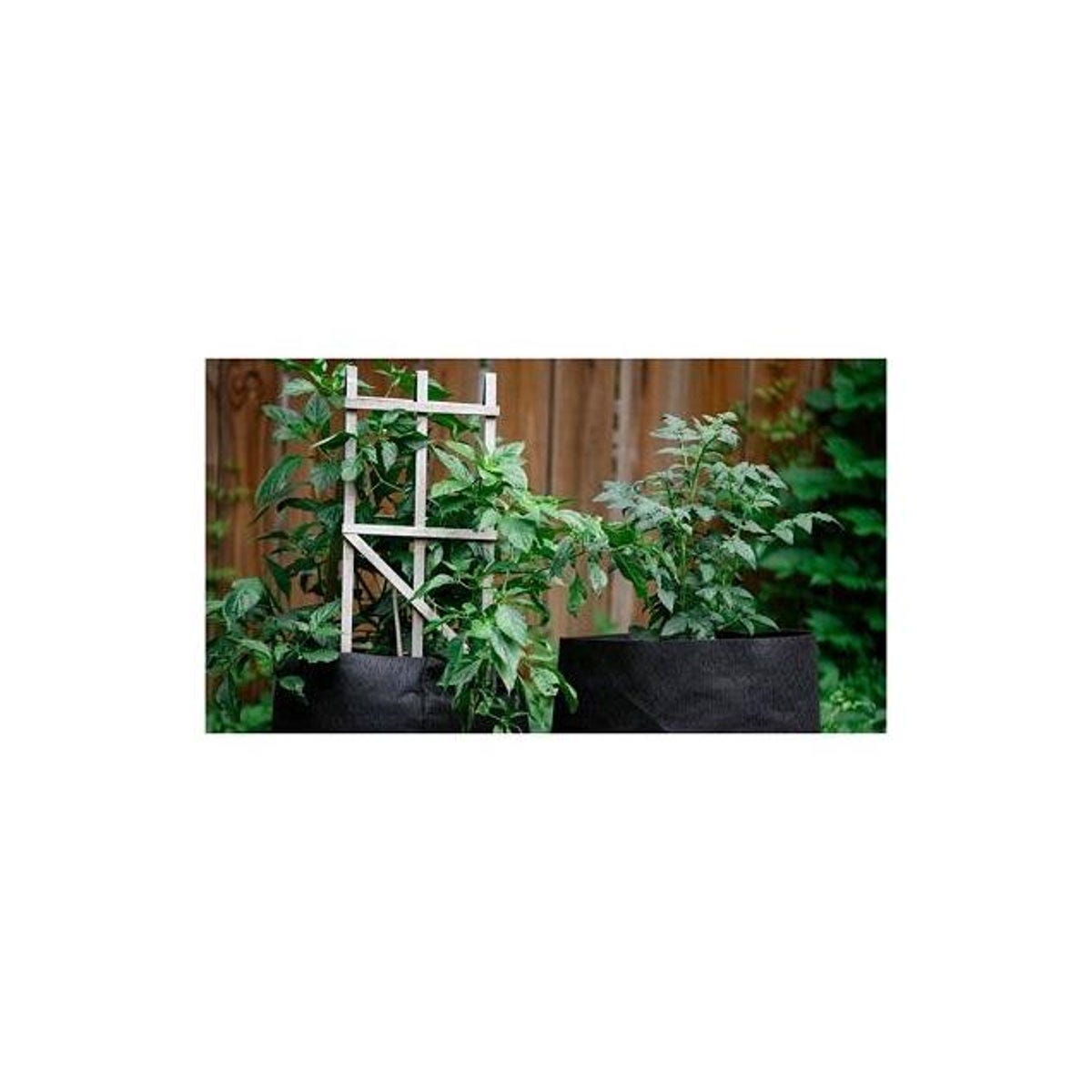 Smart Pot 15 Gal. Black Fabric Potato & Squash Container Garden | Do it ...