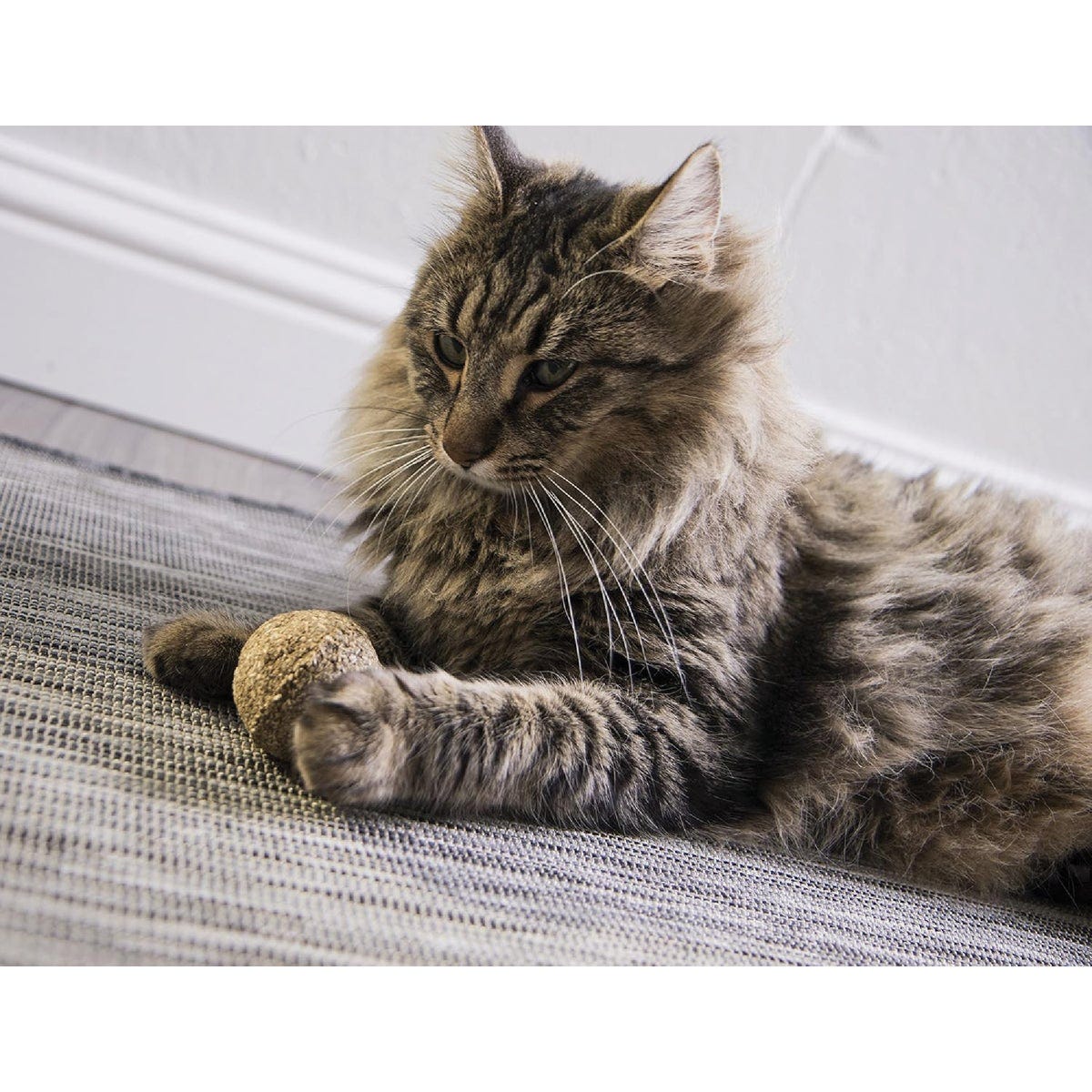 SmartyKat Catnip Kiss Compressed Catnip Ball Cat Toy | True Value Hardware