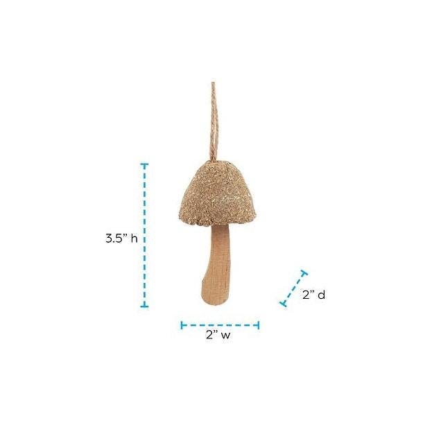 Ware Health-E Schroom Chew Toy for Small Pets | True Value Hardware