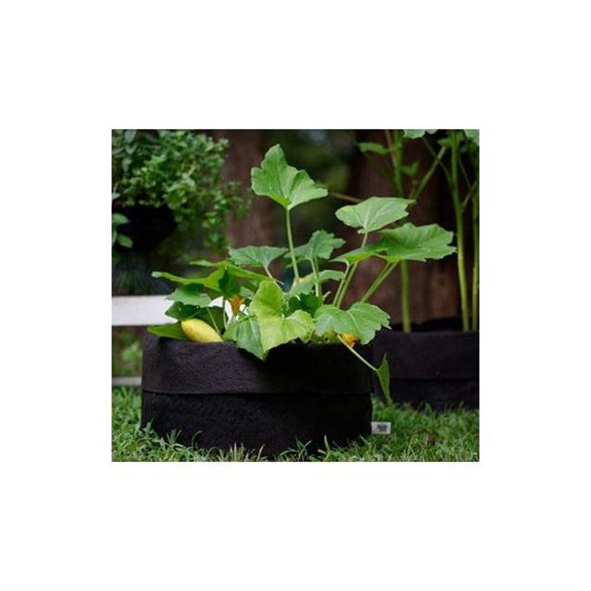 Smart Pot 15 Gal. Black Fabric Potato & Squash Container Garden | Do it ...